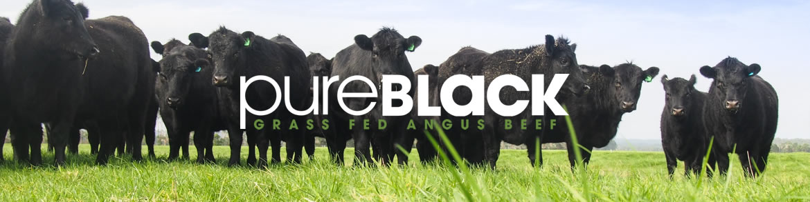 Pure Black | Nicholson & Saville